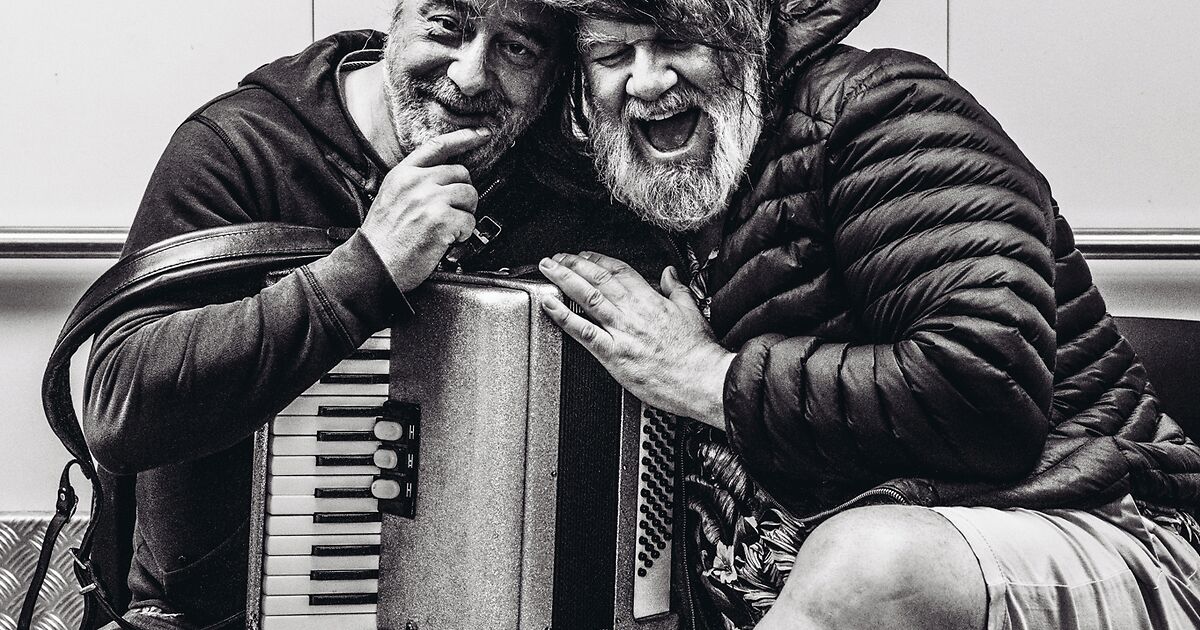 De Dolfijntjes • Agenda • De Zwerver - Muziekclub in Middelkerke